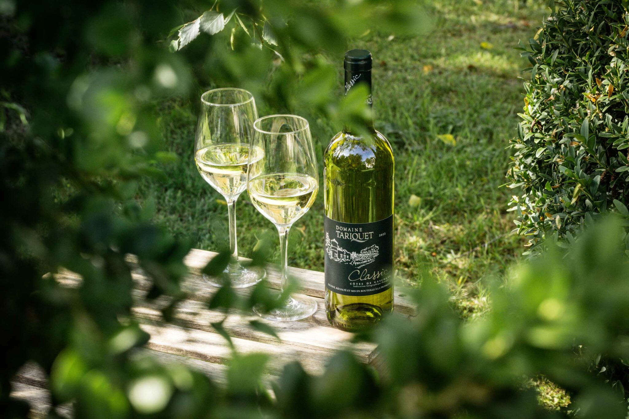 OUR WINES – Domaine Tariquet