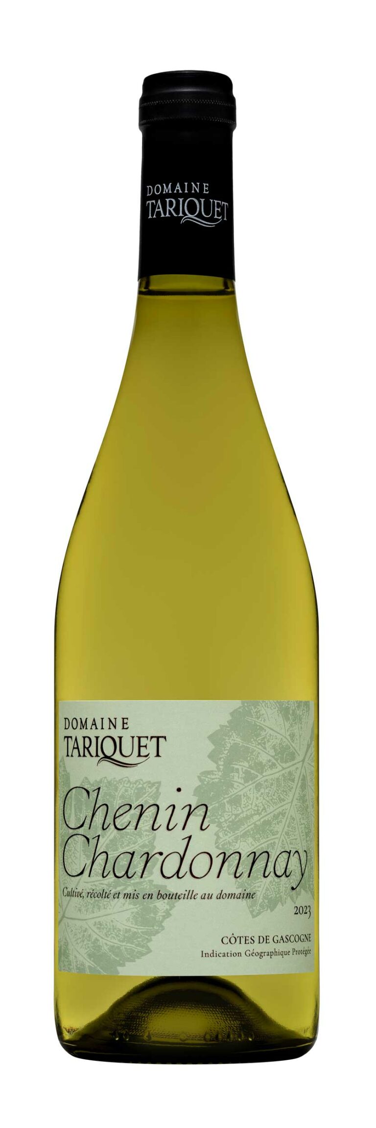 NOS VINS – Domaine Tariquet