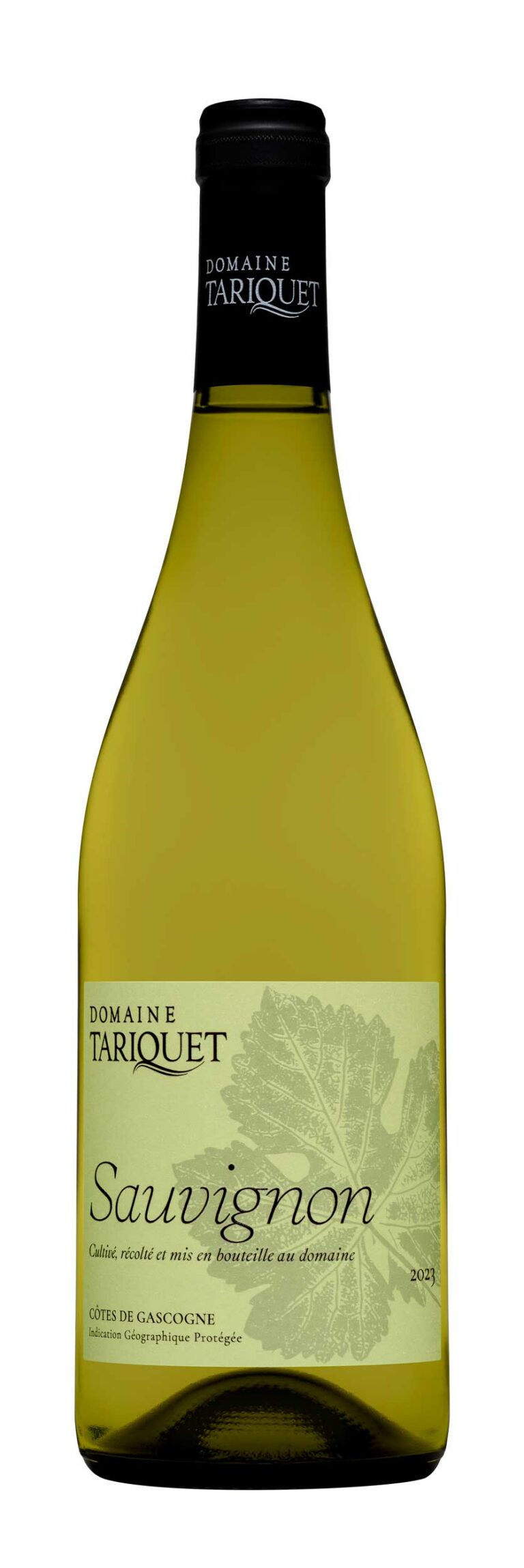 NOS VINS – Domaine Tariquet